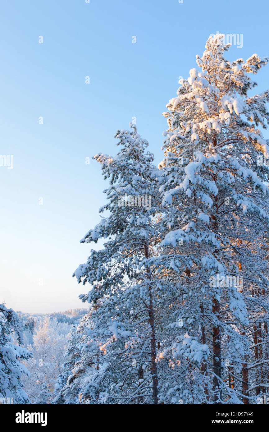 Snowy winter landscape Stock Photo - Alamy