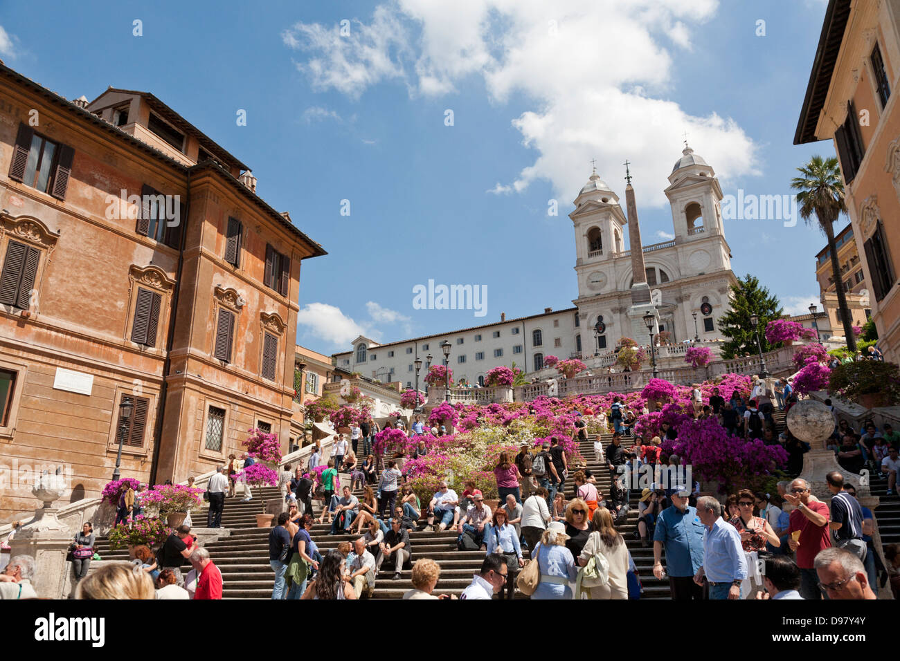 Flower pots and steps hi-res stock photography and images - Alamy