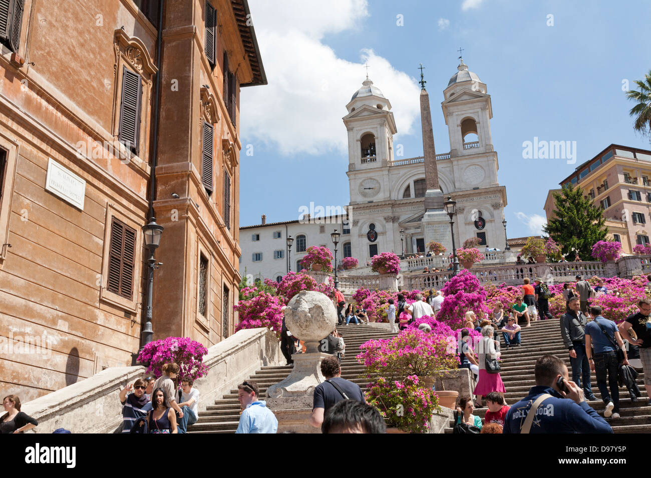Azaleas in piazza di spagna hi-res stock photography and images - Alamy