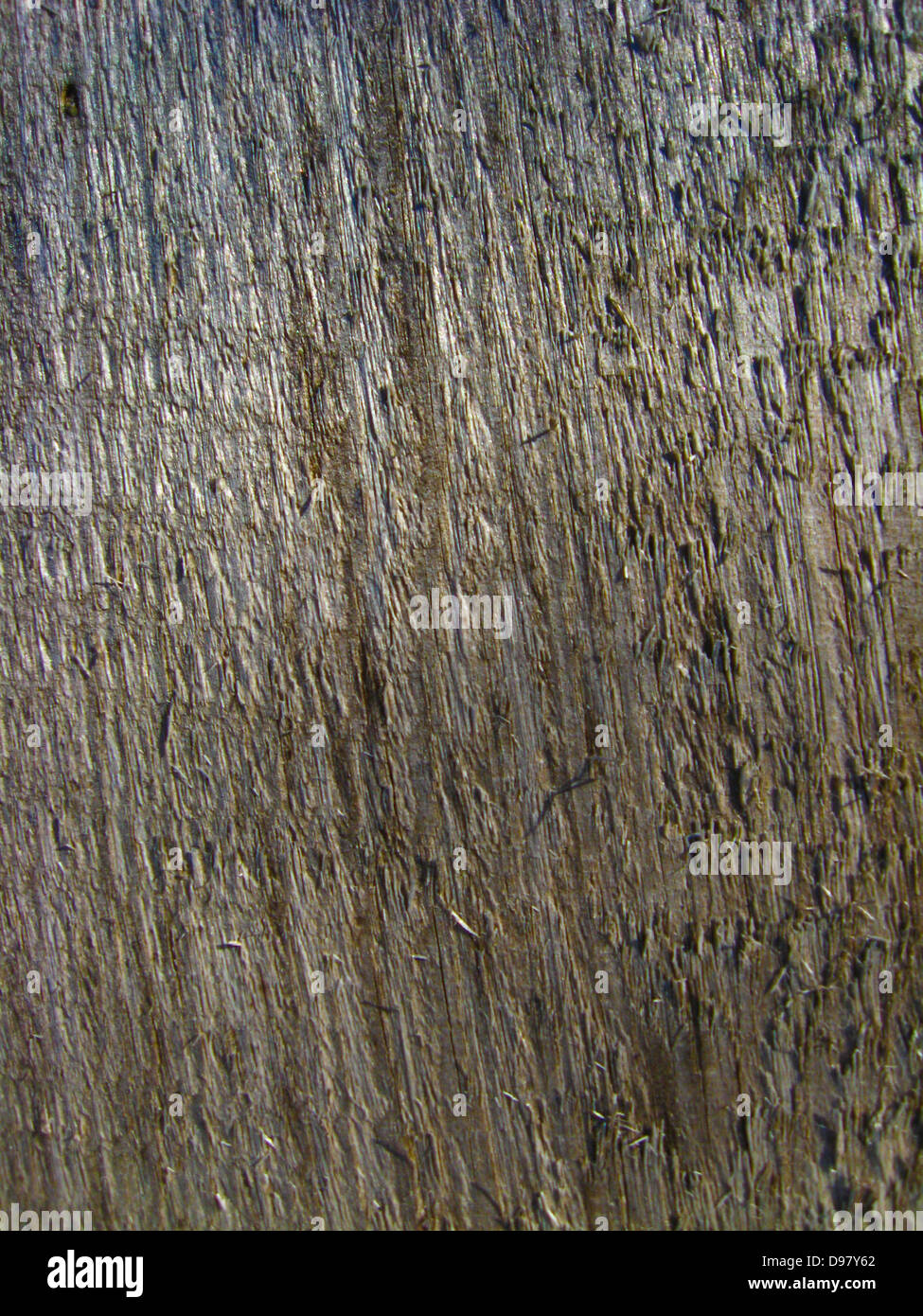 Bark cloth tree hi-res stock photography and images - Alamy