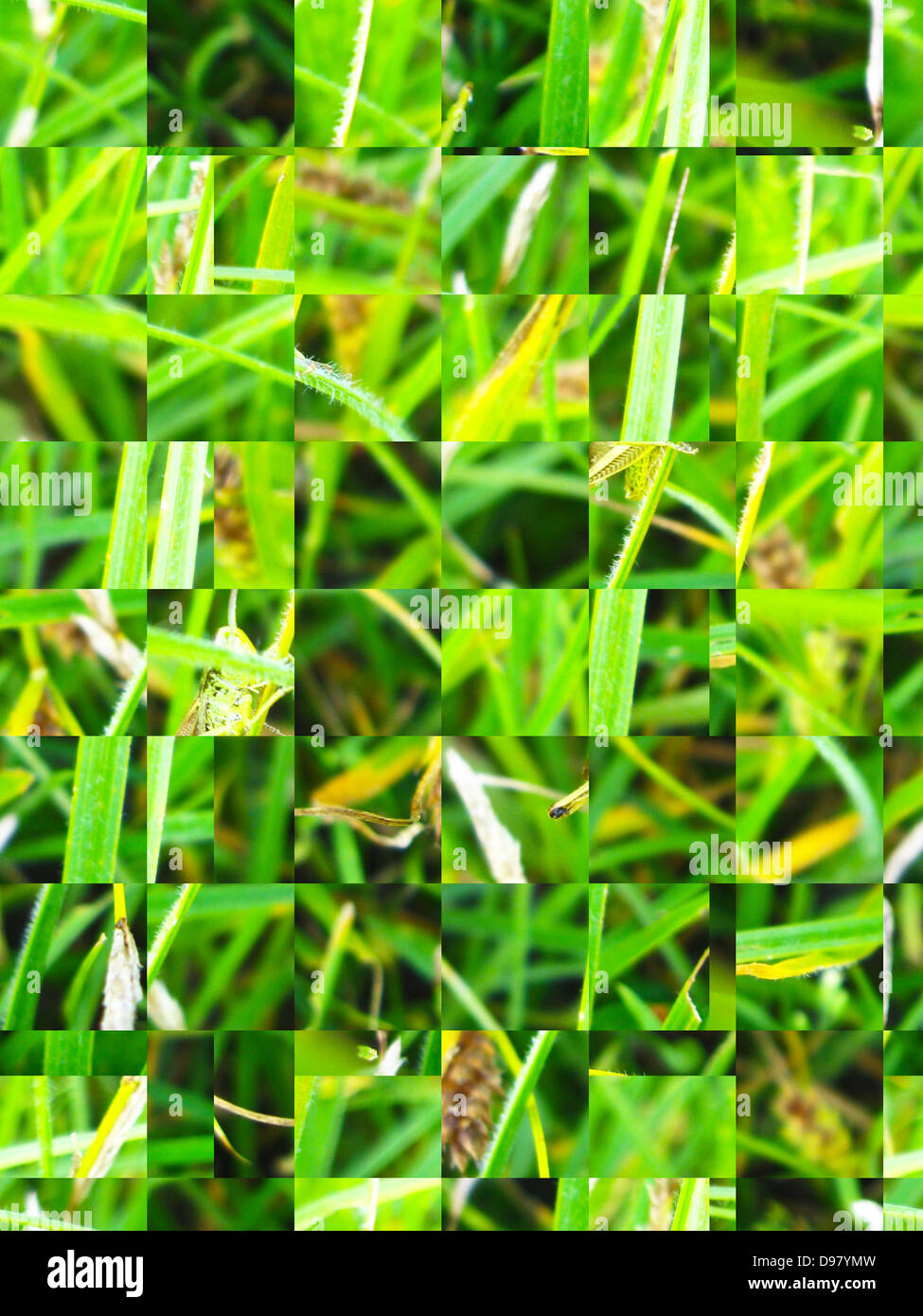 The image of green transparent background and texture Stock Photo - Alamy