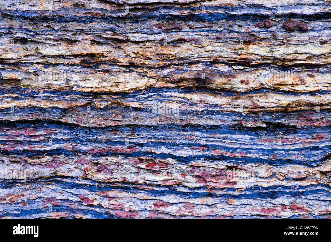 Rock Strata, Howick Haven Stock Photo - Alamy