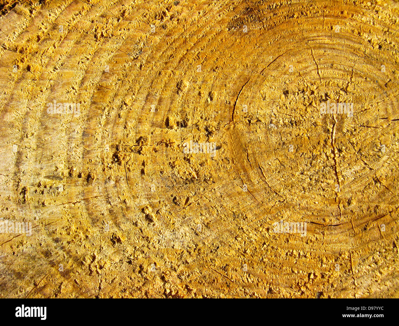 Pattern of yellow color on a cut of a tree Stock Photo - Alamy