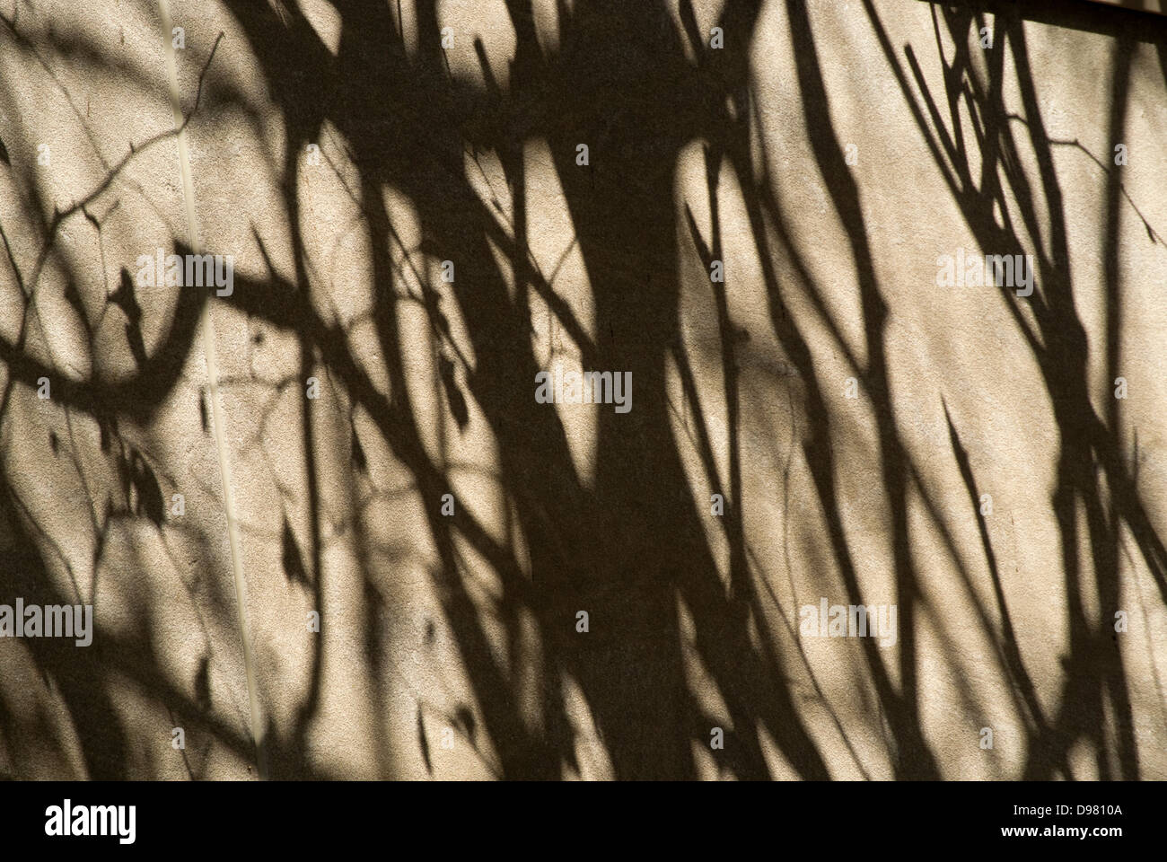 Shadow and contrast hi-res stock photography and images - Alamy