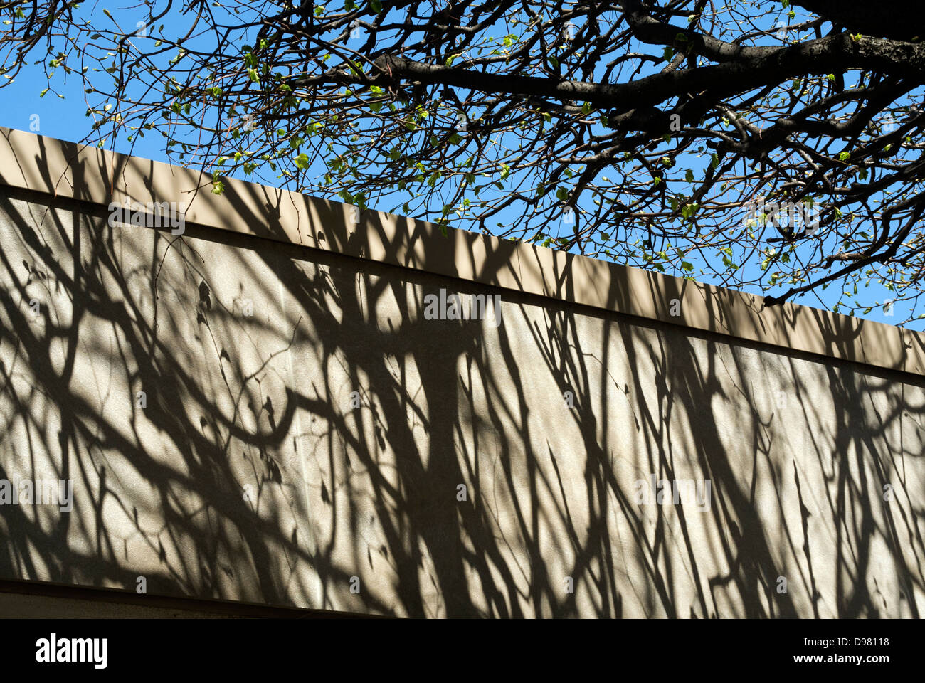 Shadow and contrast hi-res stock photography and images - Alamy