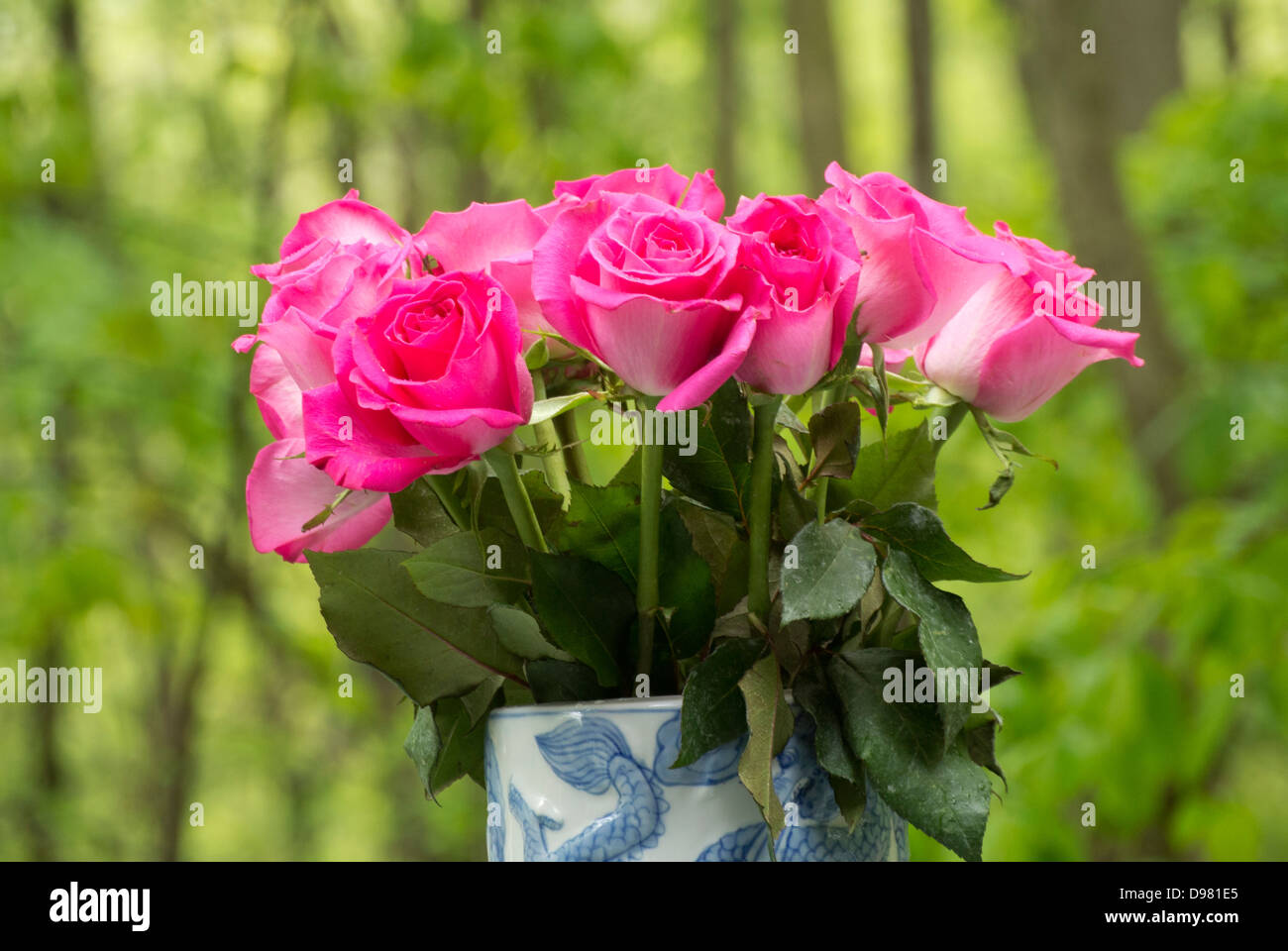 Red roses vase hi-res stock photography and images - Alamy