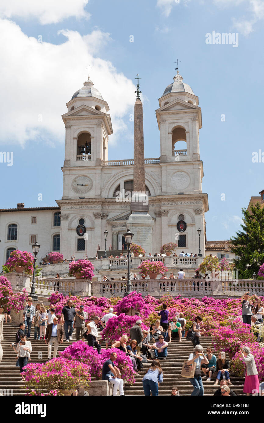 Pots of azaleas in blossom, Spanish Steps, Scalinata della Trinita dei ...