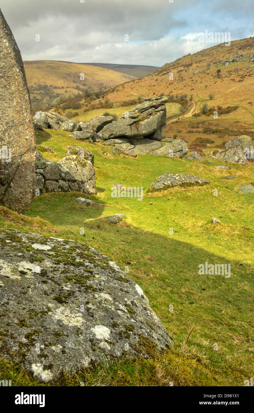 The mercurial patterns of dappled light and shadows flitting across the ...