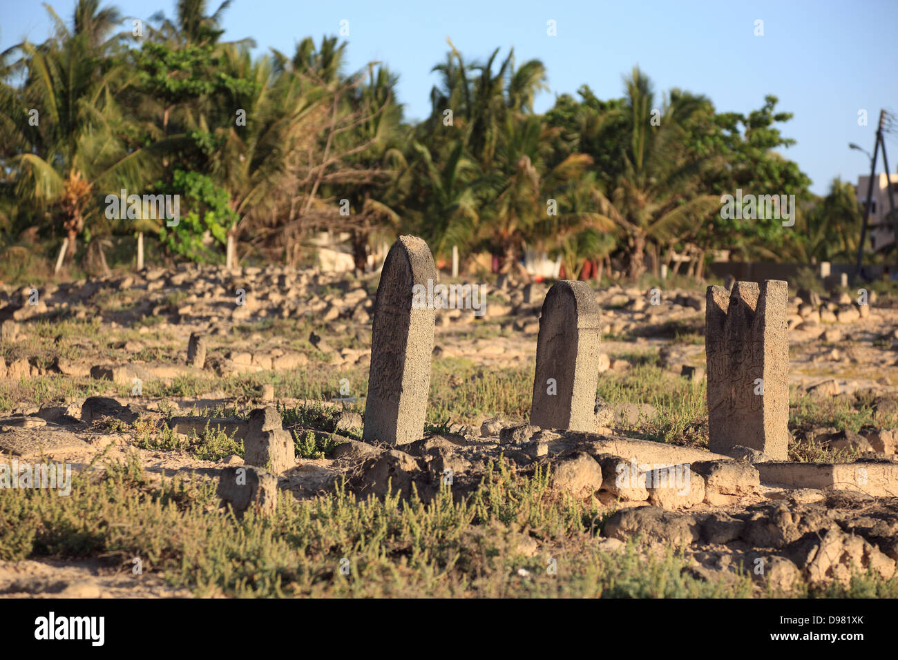 More historically Arabian cemetery in the Al-Baleed excavation field ...
