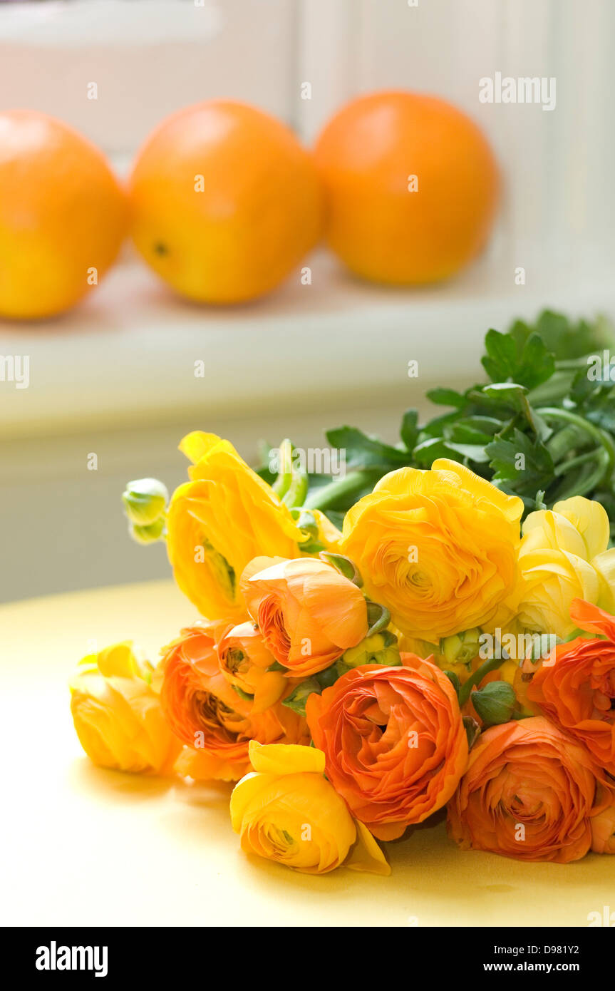 Portrait close-up shot of a bunch of yellow and orange Ranunculus ...