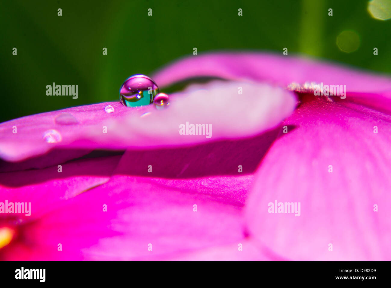 Raindrops picture nature color hi-res stock photography and images - Alamy