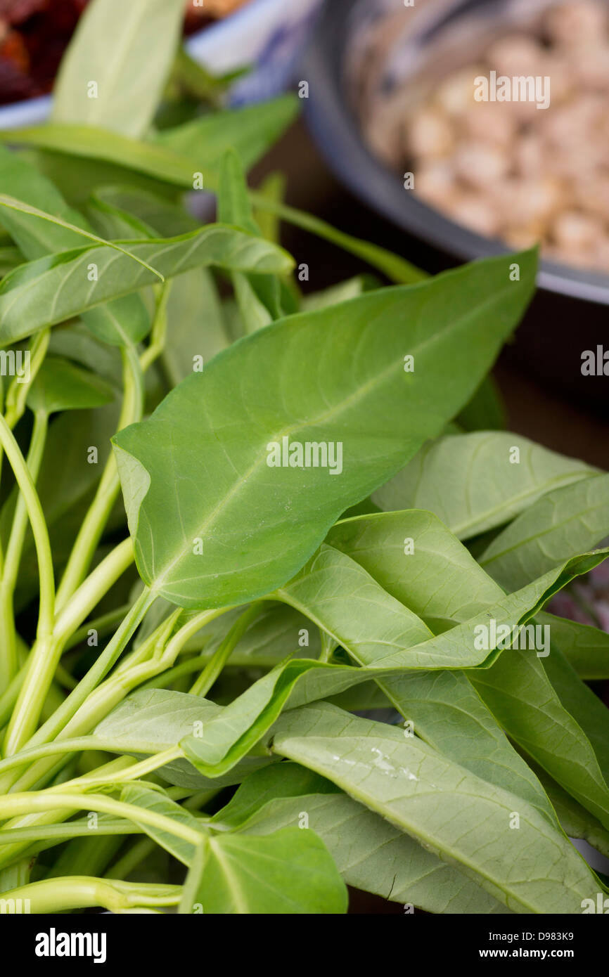 Kang kong hi-res stock photography and images - Alamy