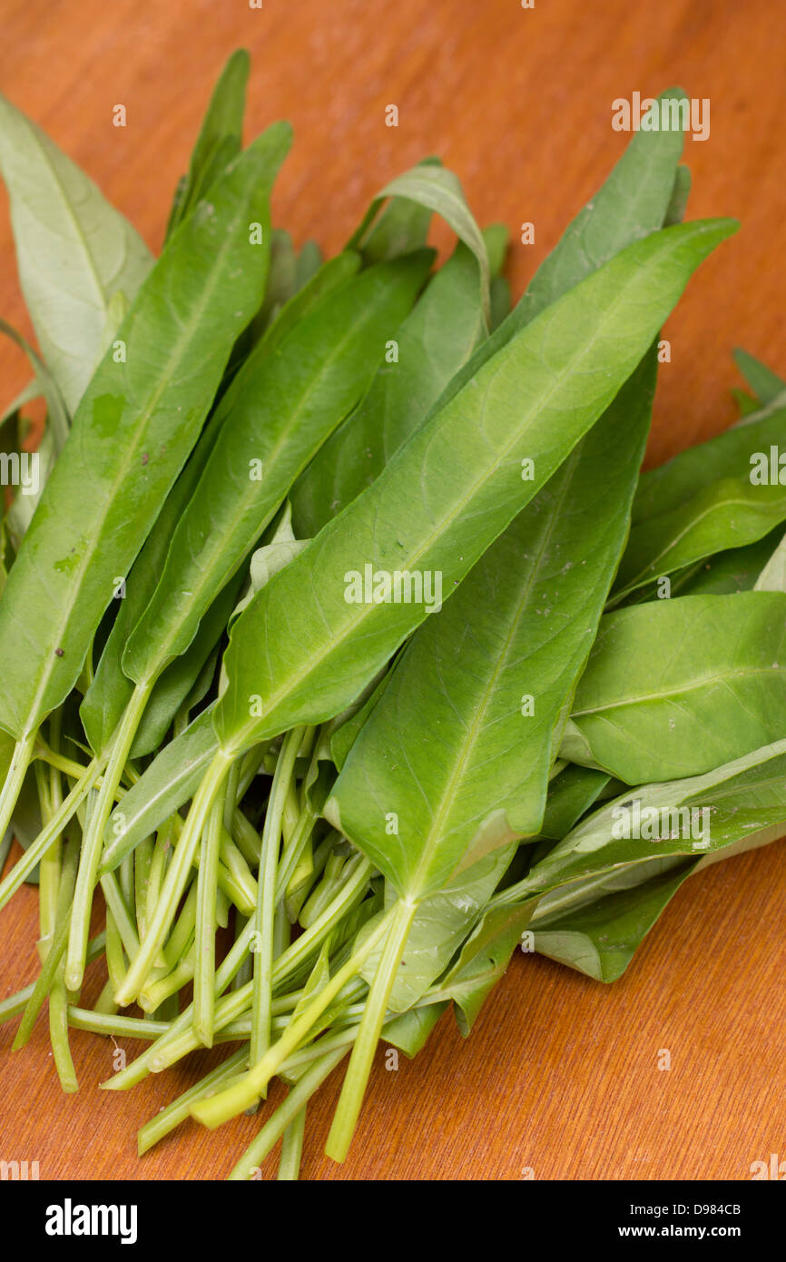 Kangkong High Resolution Stock Photography and Images - Alamy