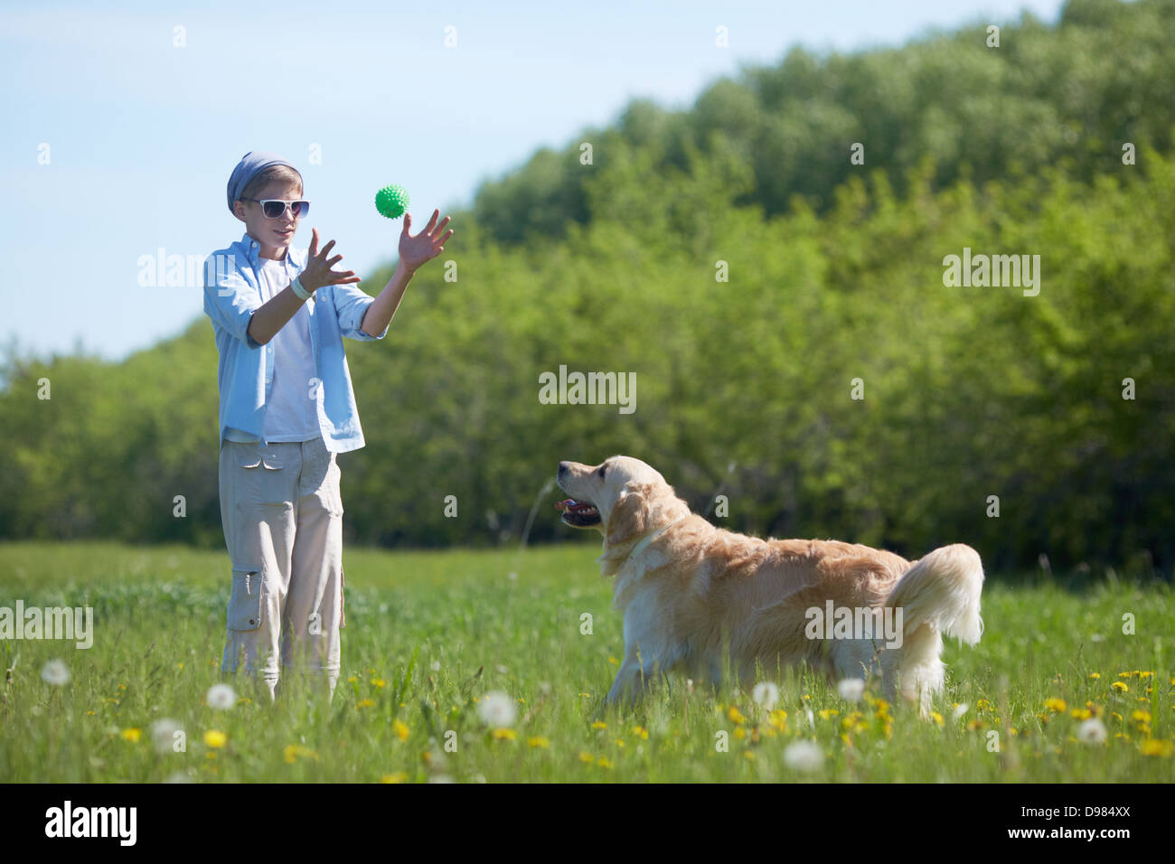 Portrait of cute lad playing with Labrador on grass Stock Photo - Alamy
