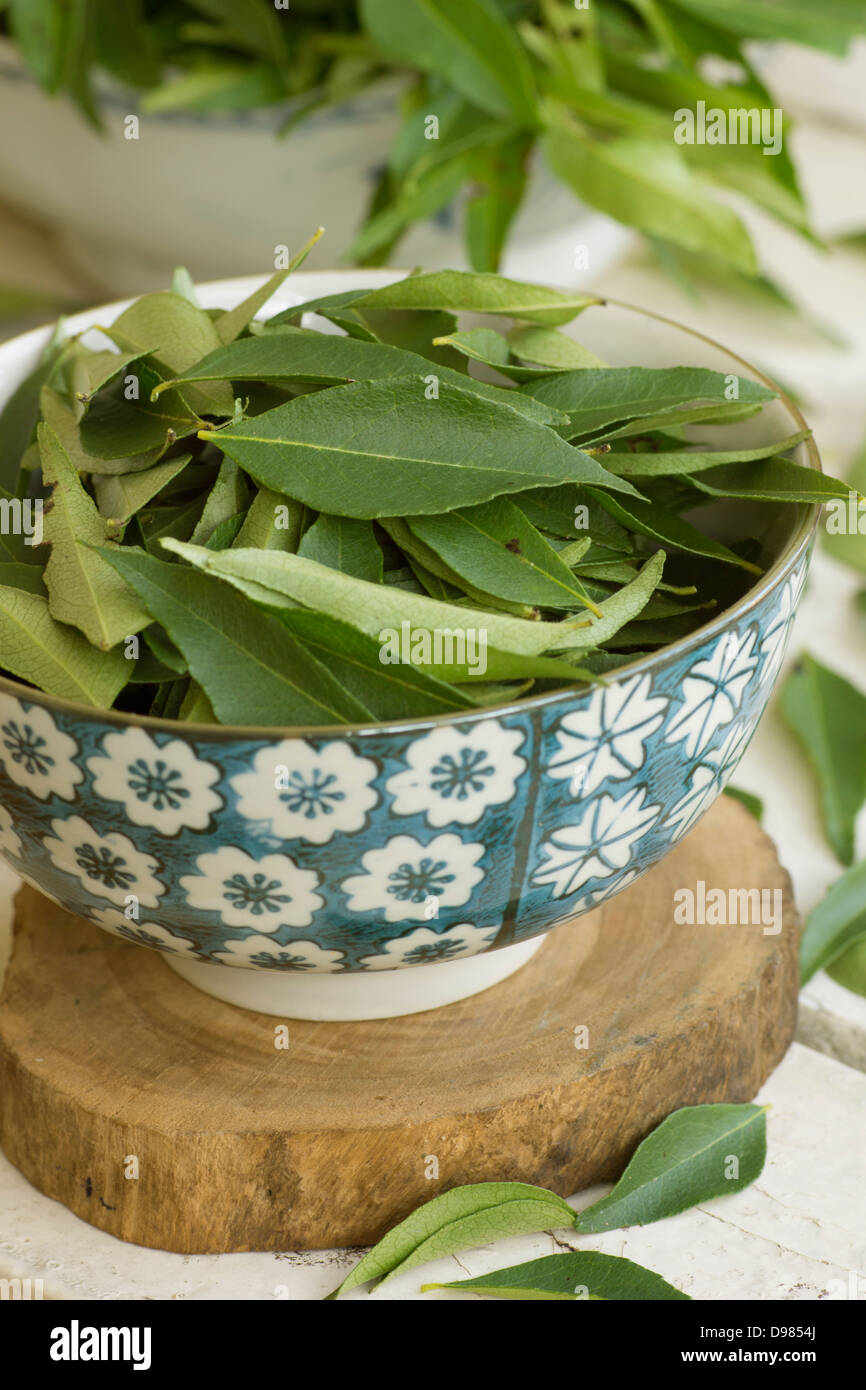 Indian curry ingredient hi-res stock photography and images - Alamy