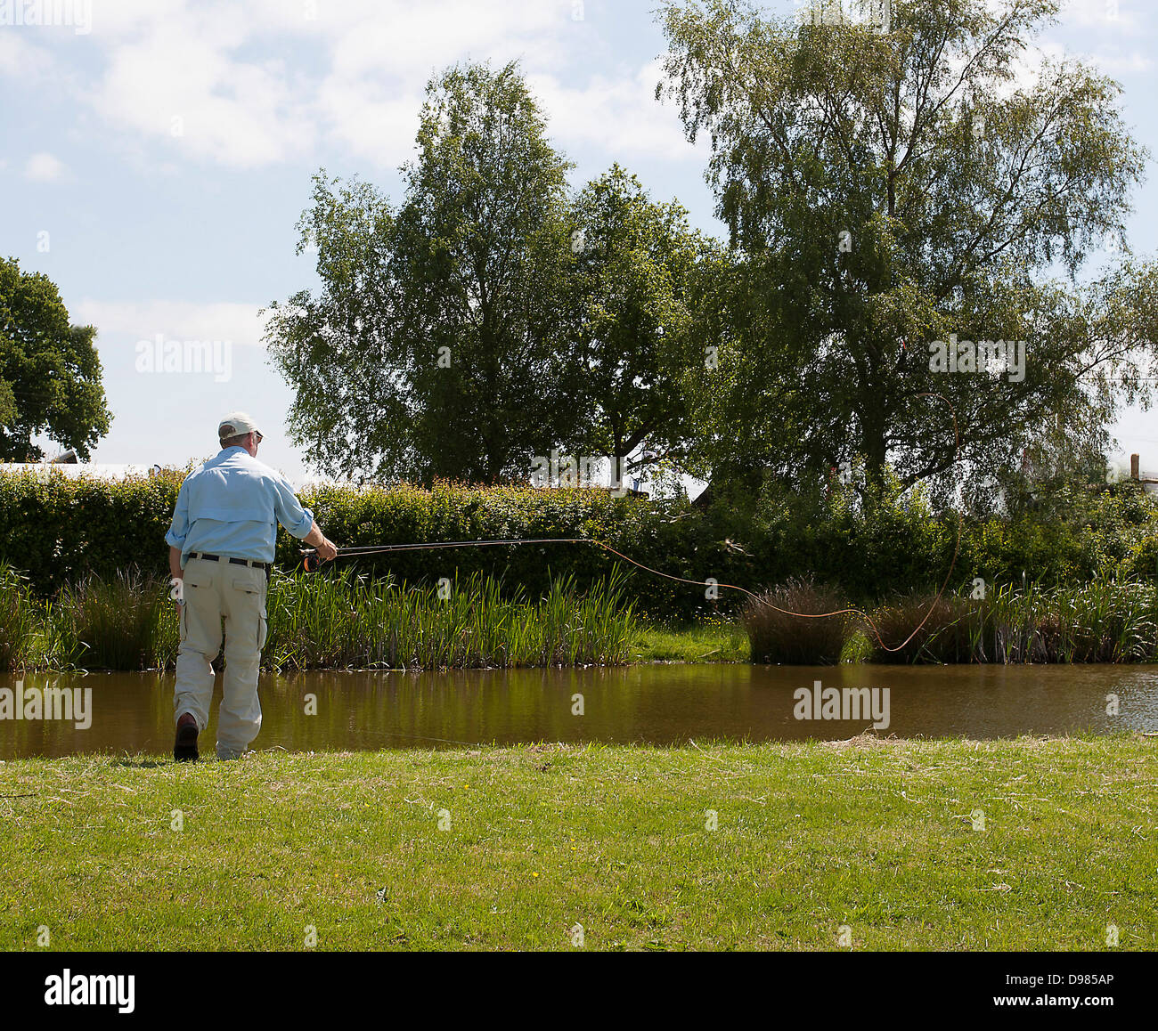 Fifh hi-res stock photography and images - Alamy