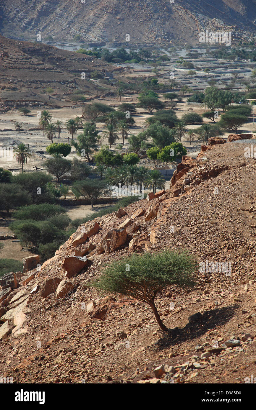 Scenery in the bay of Bukha, in the granny's niches enclave of Musandam ...