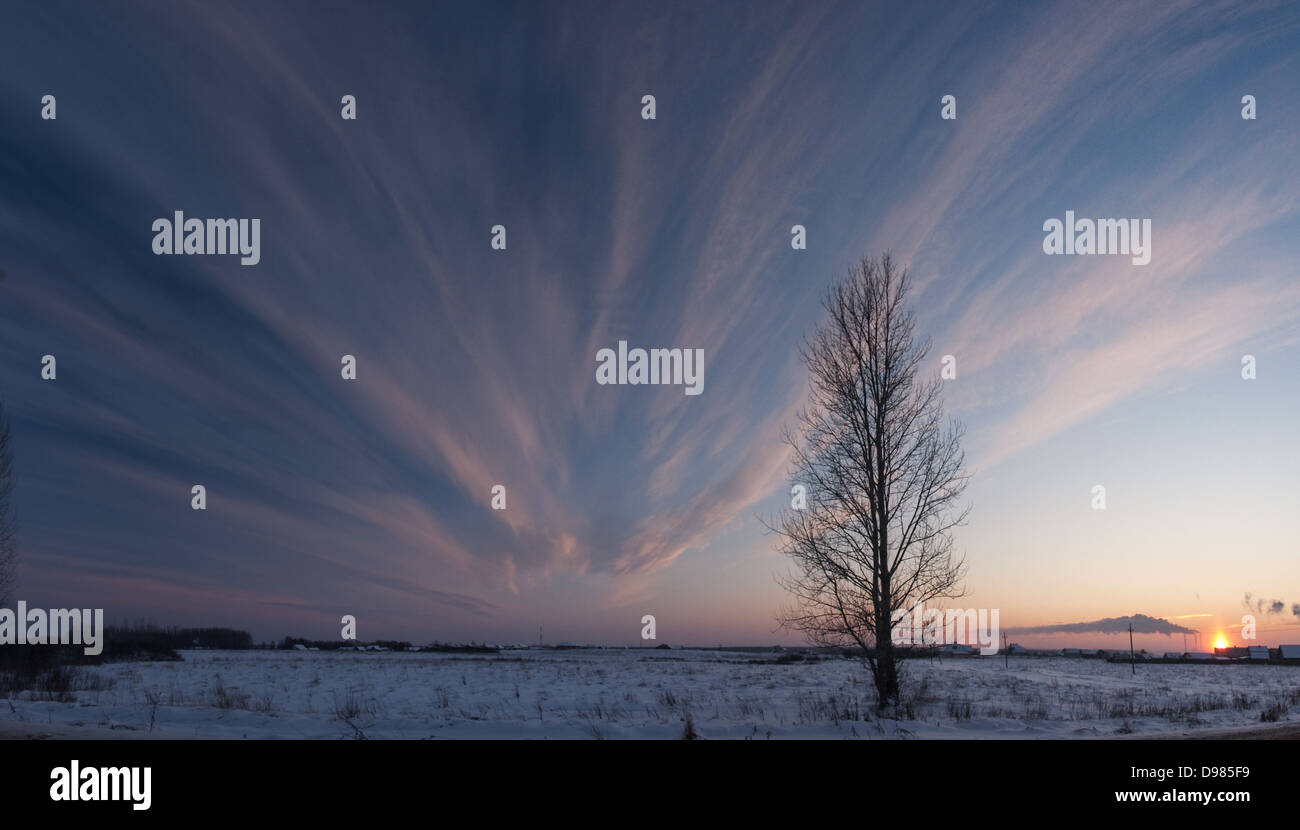 Dramatic tree view hi-res stock photography and images - Alamy