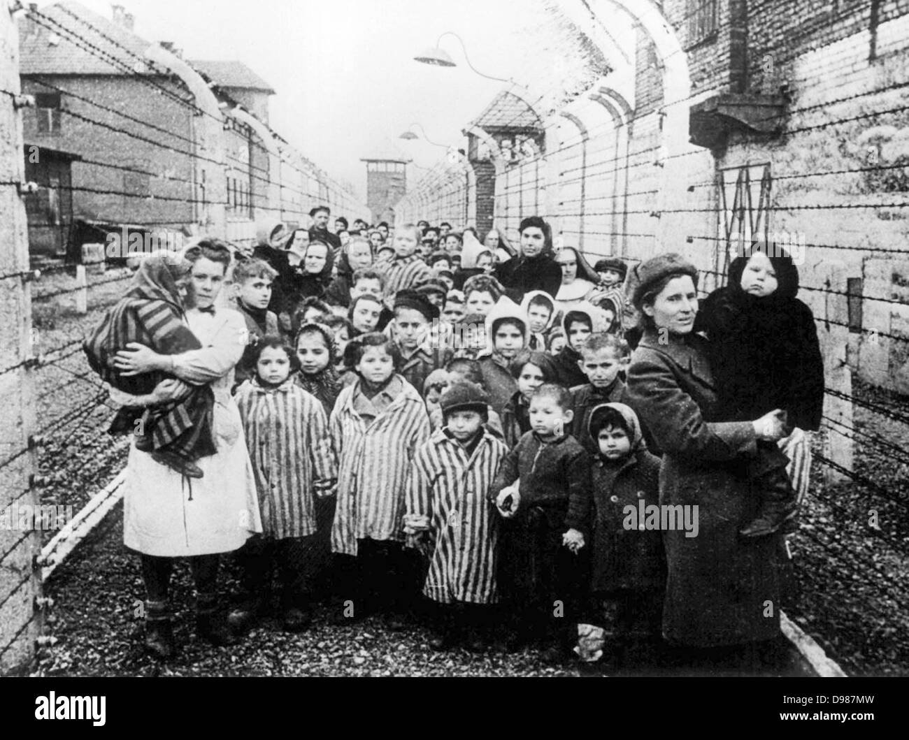 Children in a Nazi extermination camp in Eastern Europe circa 1945 ...
