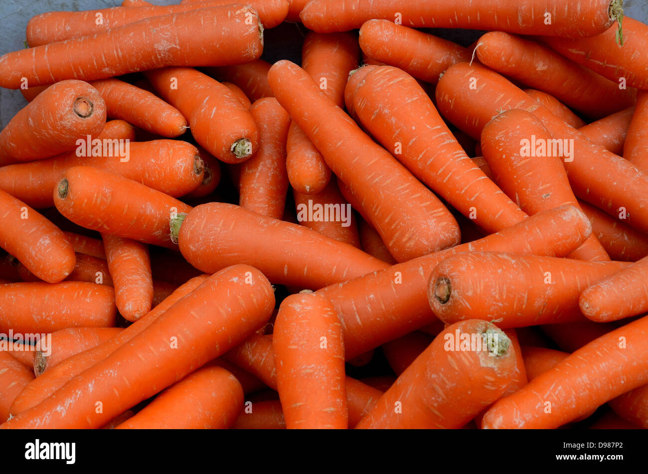 Many carrots in a pile Stock Photo - Alamy