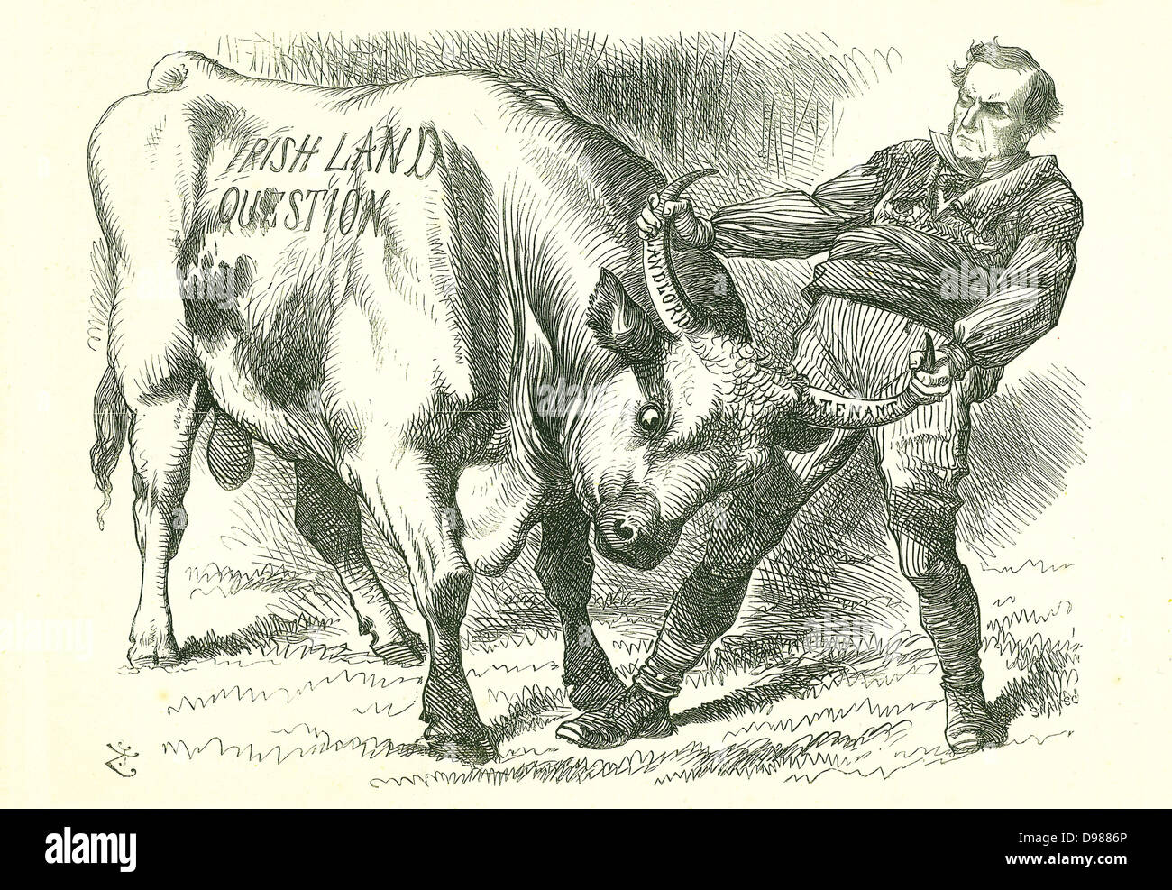 Take The Bull By The Horns Cartoon