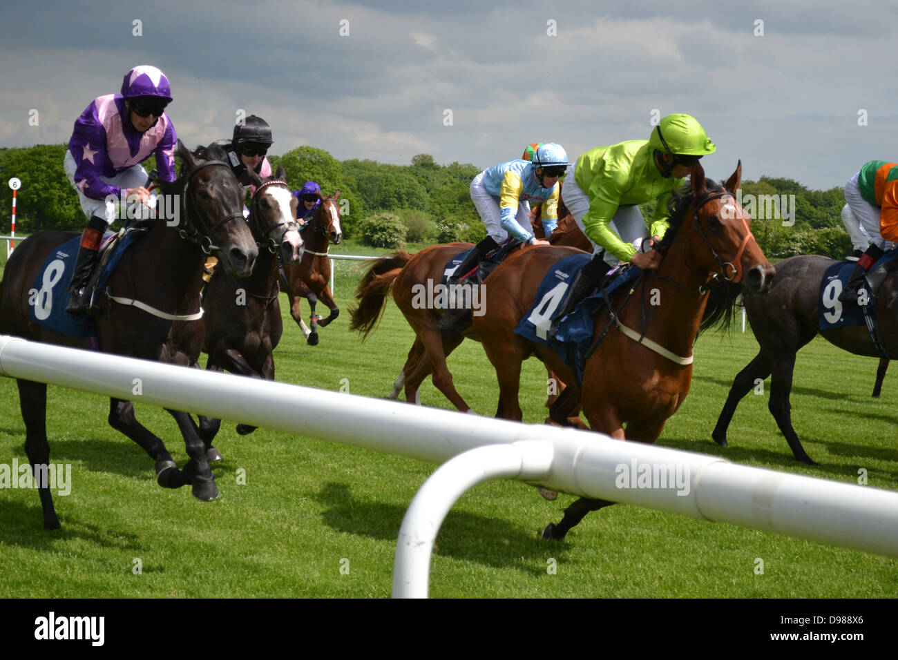 A day at the races Stock Photo - Alamy