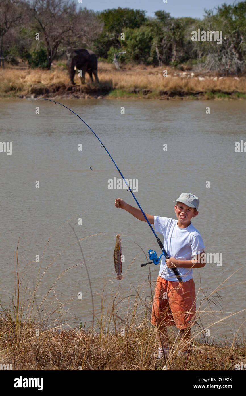 Caught catfish hi-res stock photography and images - Alamy