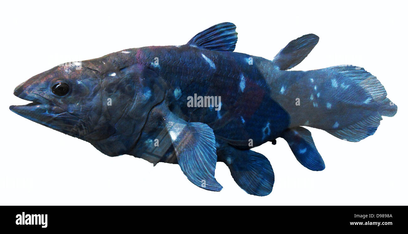 Many specimens hi-res stock photography and images - Alamy