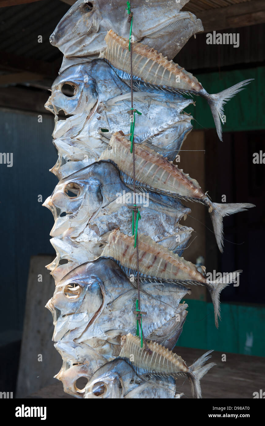 Sun Dried Fish Stock Photos & Sun Dried Fish Stock Images - Alamy