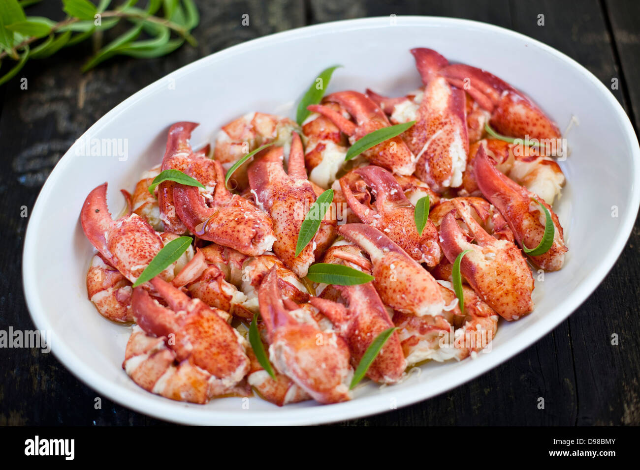 Germany lobster hi-res stock photography and images - Alamy