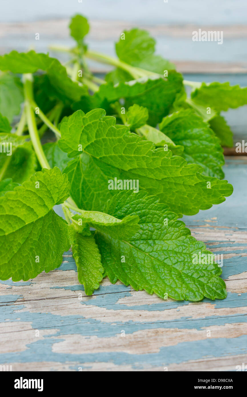 Lemon balm leaf on table, close up Stock Photo - Alamy