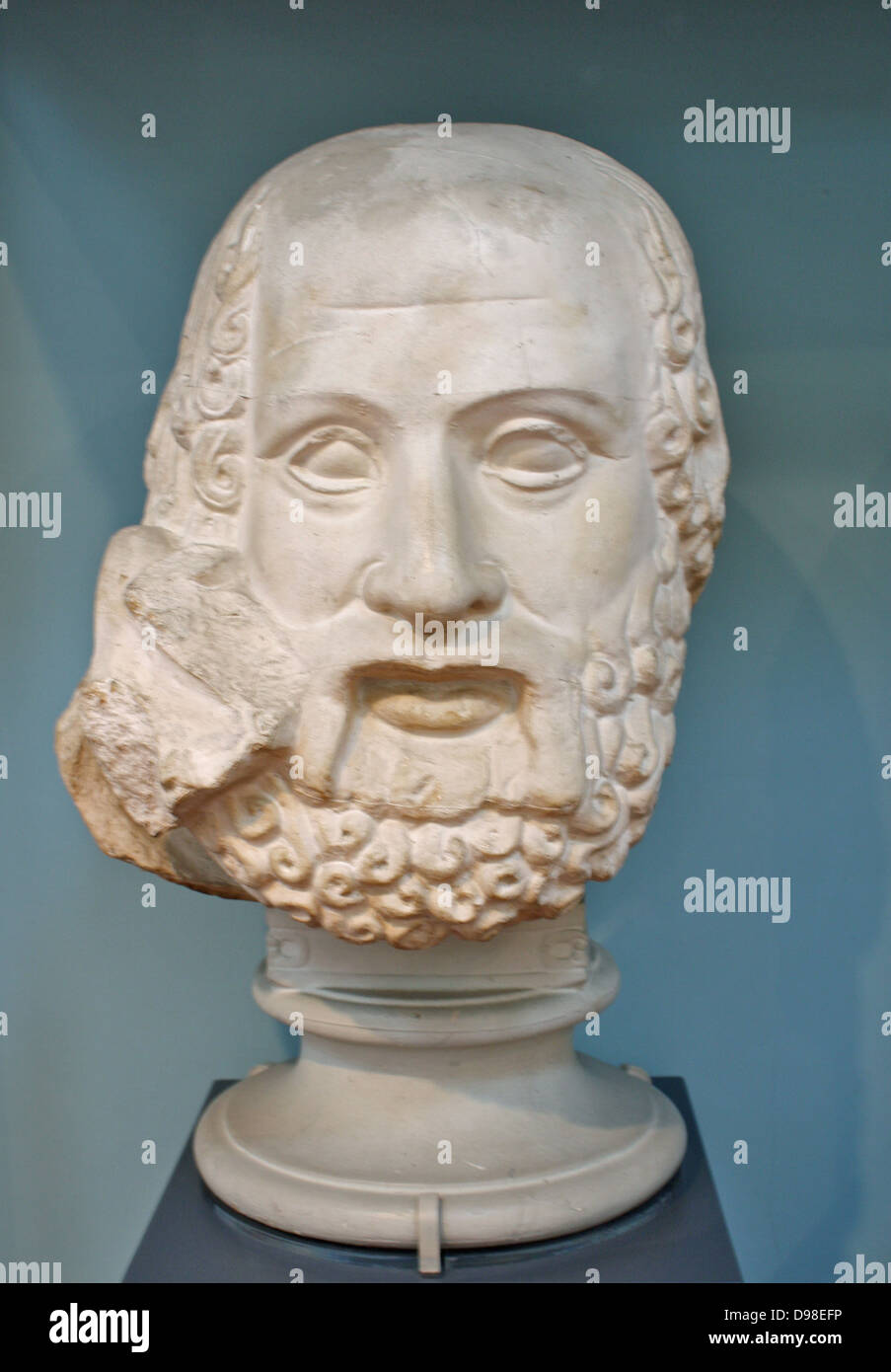 Head of seer Stock Photo - Alamy