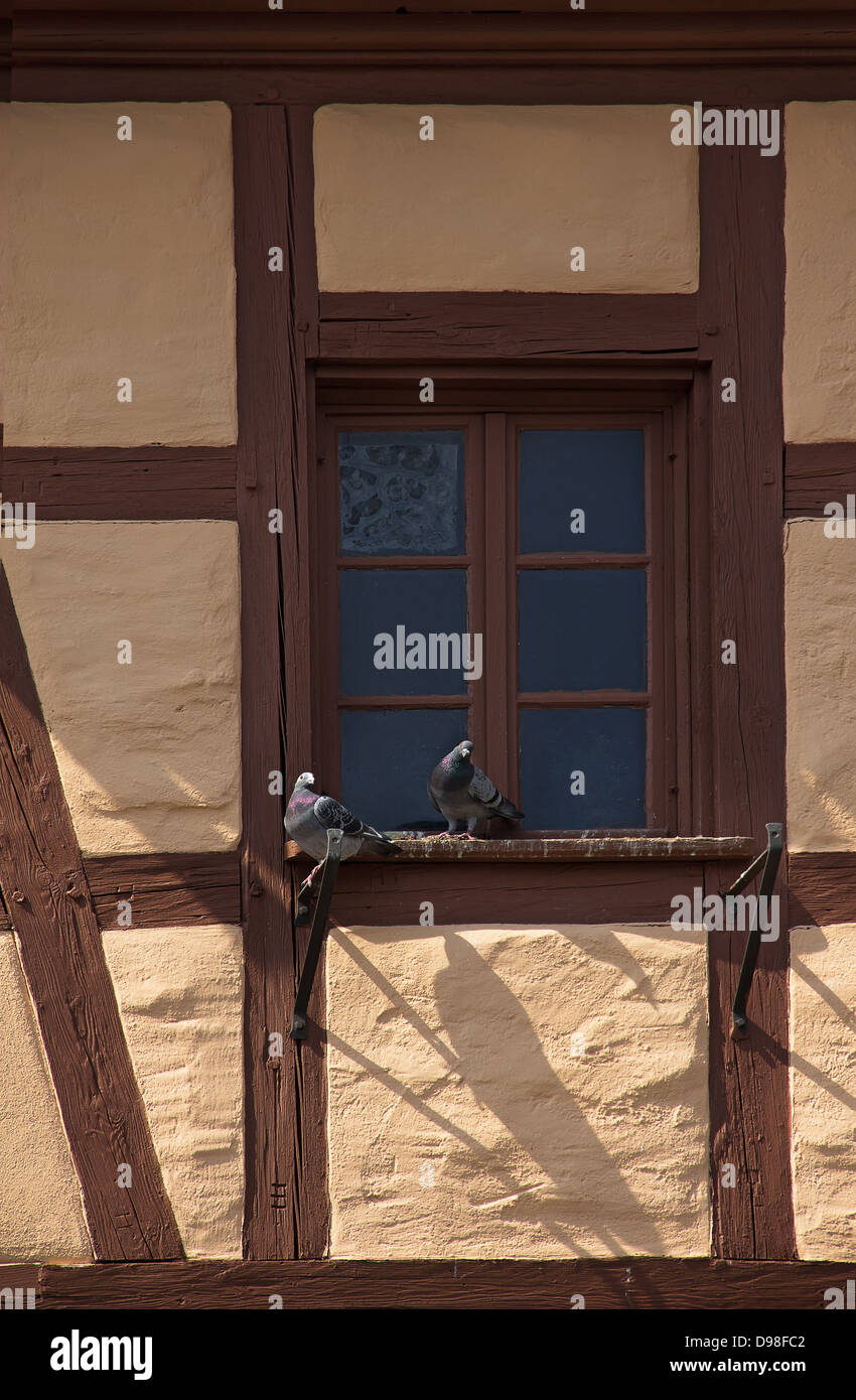couple of pigeons sitting on old medieval house's window, Bavaria Stock ...