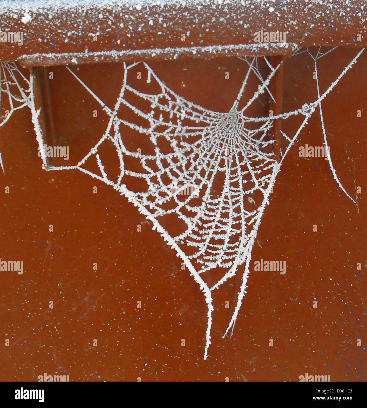 Frost spider's web , England, Winter Stock Photo - Alamy