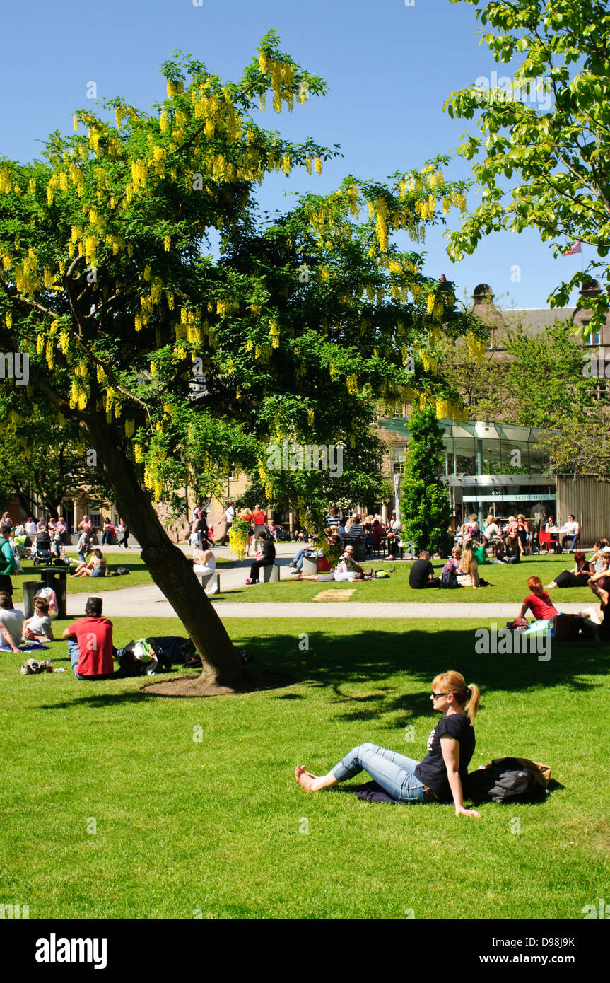 People Sunbathing In A Park High Resolution Stock Photography and ...