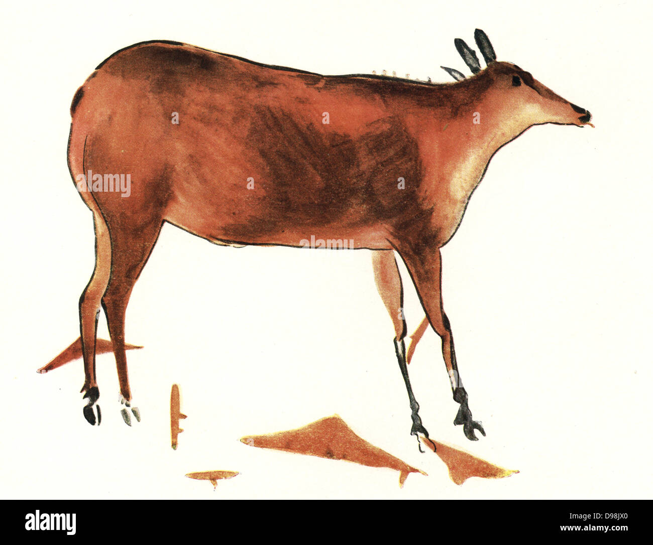 Altamira cave in Spain, famous for its Upper Palaeolithic cave ...