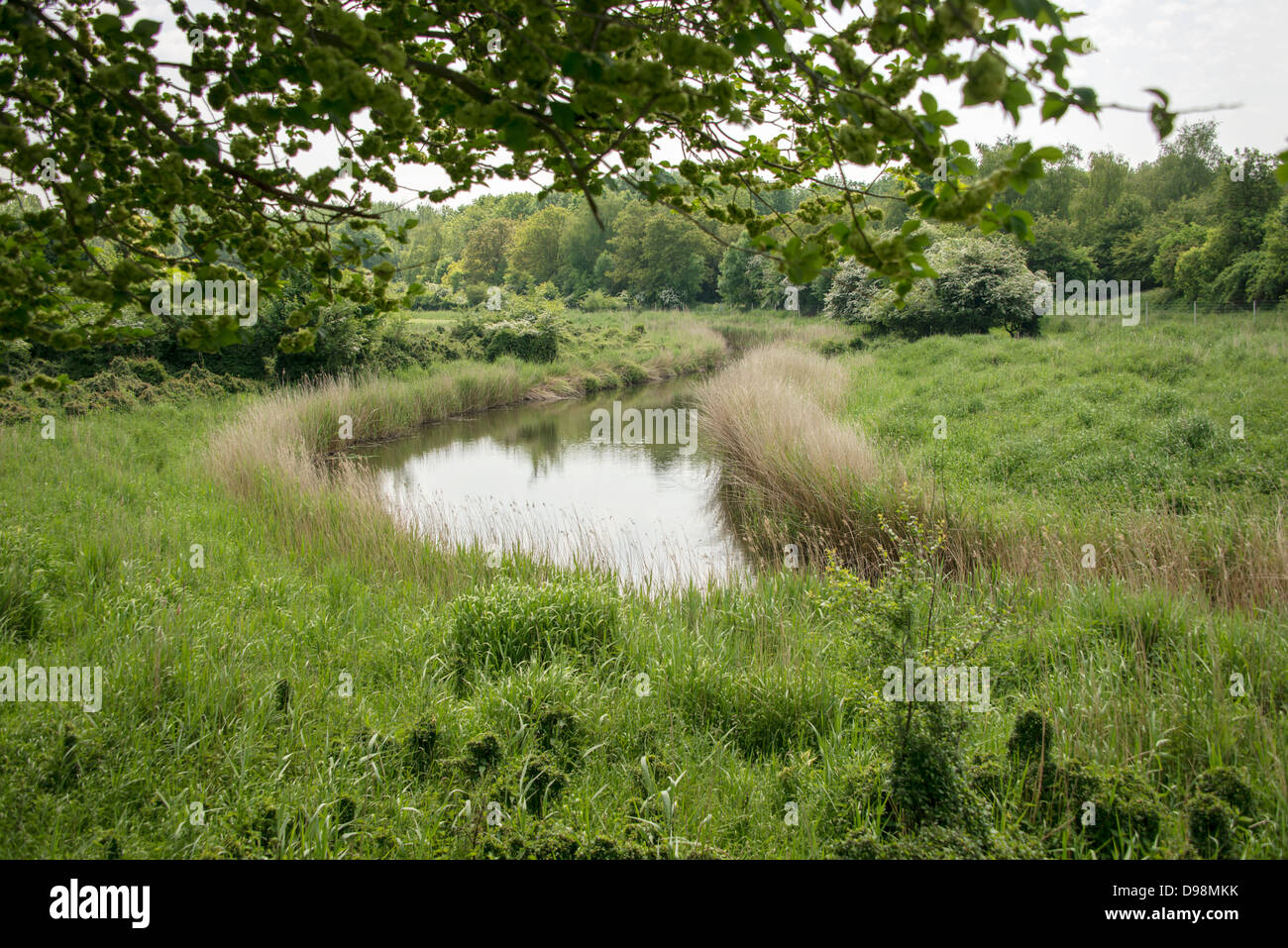dutch nature area called naturepark lelystad Stock Photo - Alamy