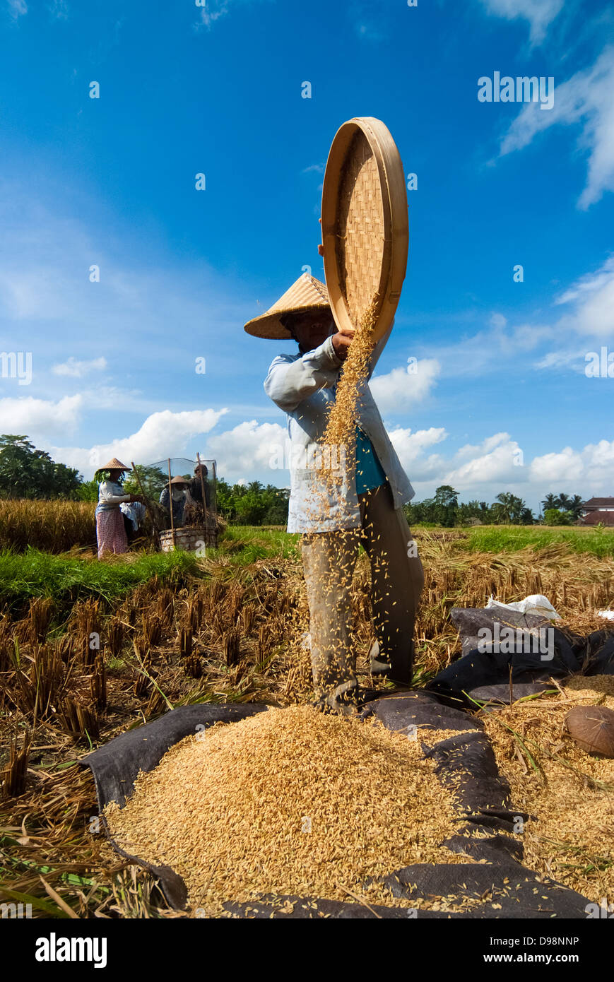 Winnowing Seeds High Resolution Stock Photography and Images - Alamy