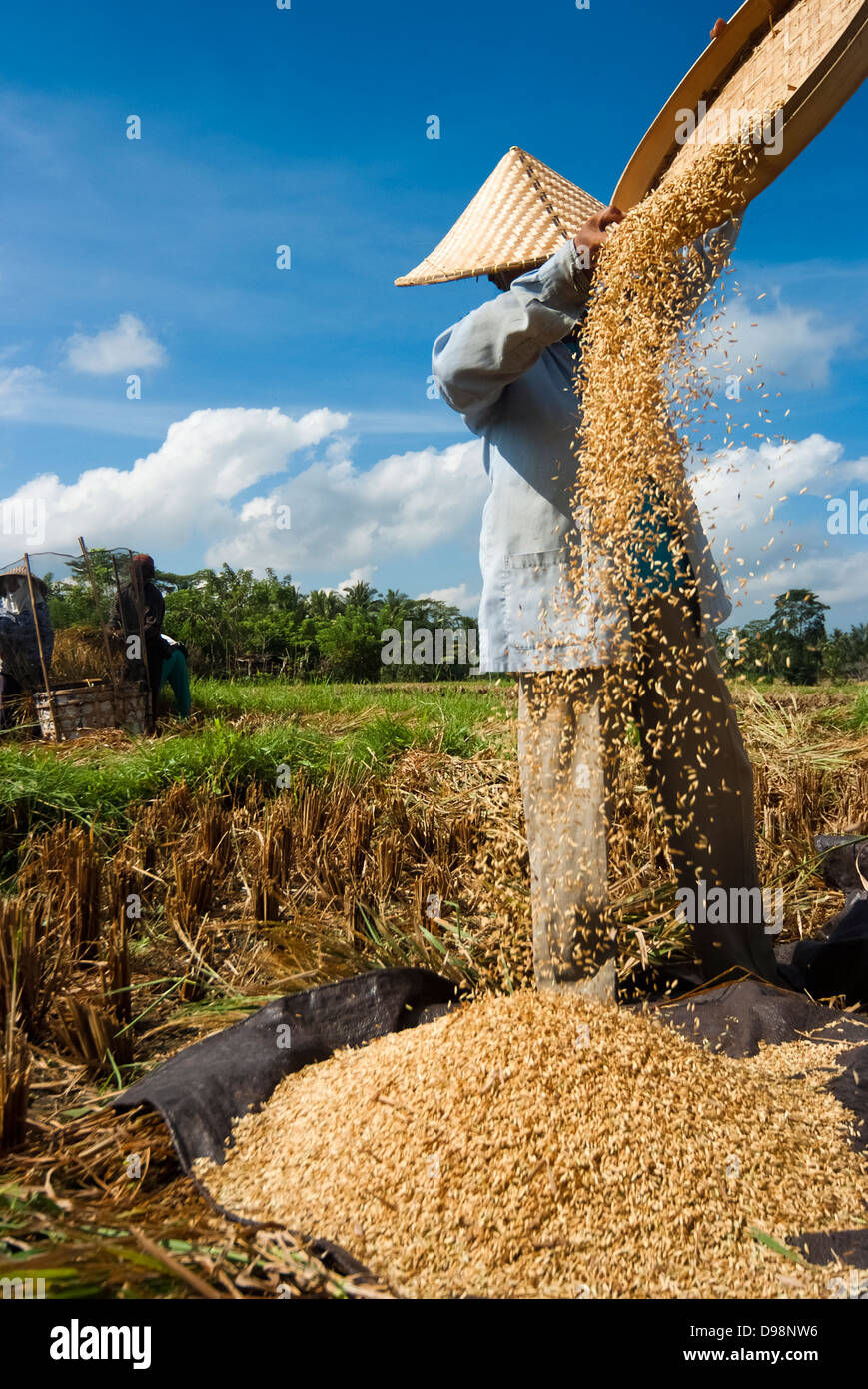 Winnowing Seeds High Resolution Stock Photography and Images - Alamy