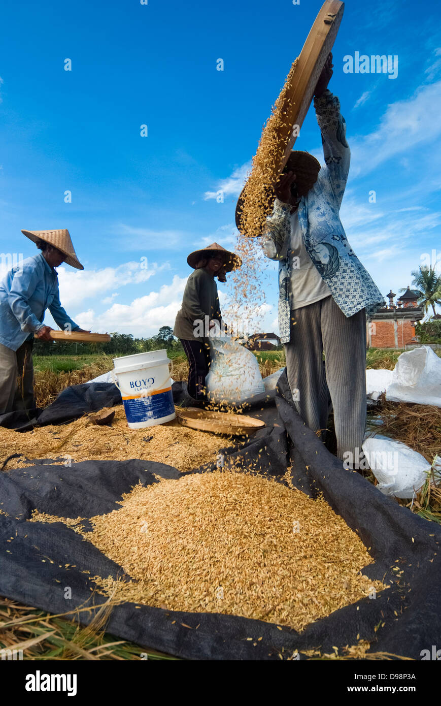 Winnowing Seeds High Resolution Stock Photography and Images - Alamy