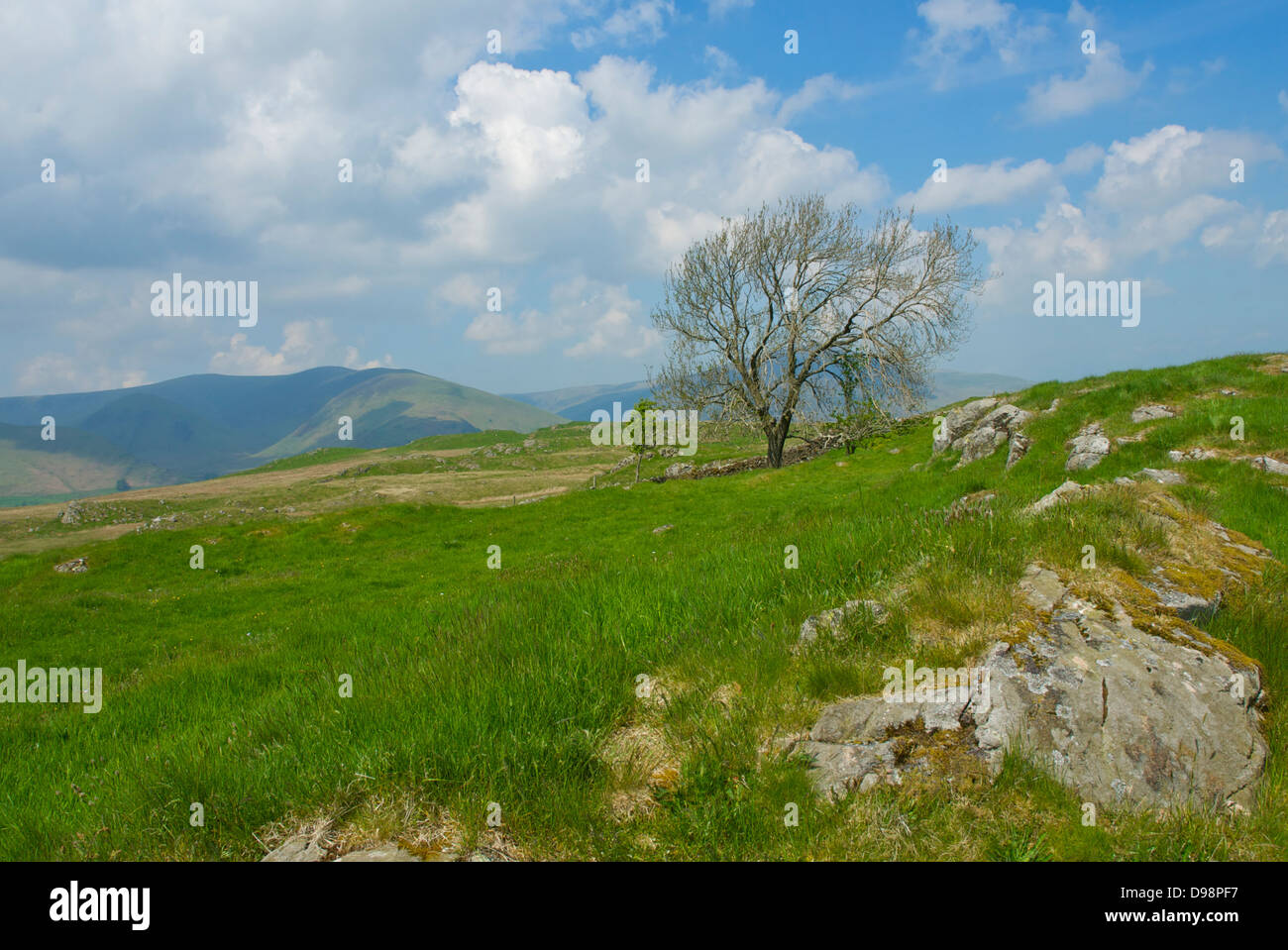 Eycott hill hi-res stock photography and images - Alamy