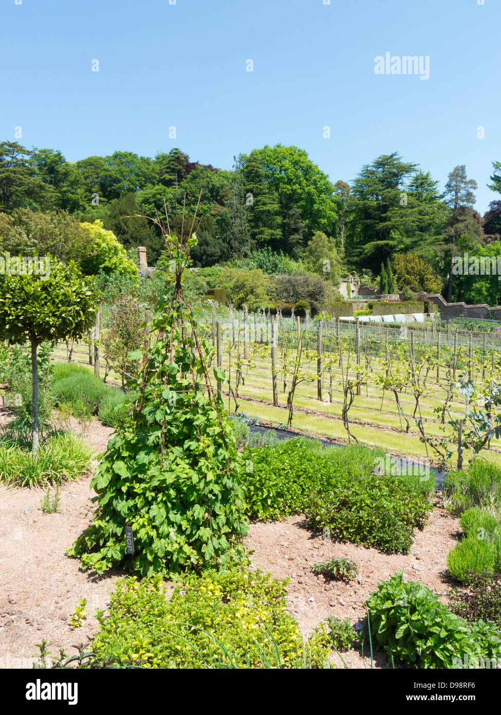 Knightshayes hi-res stock photography and images - Alamy