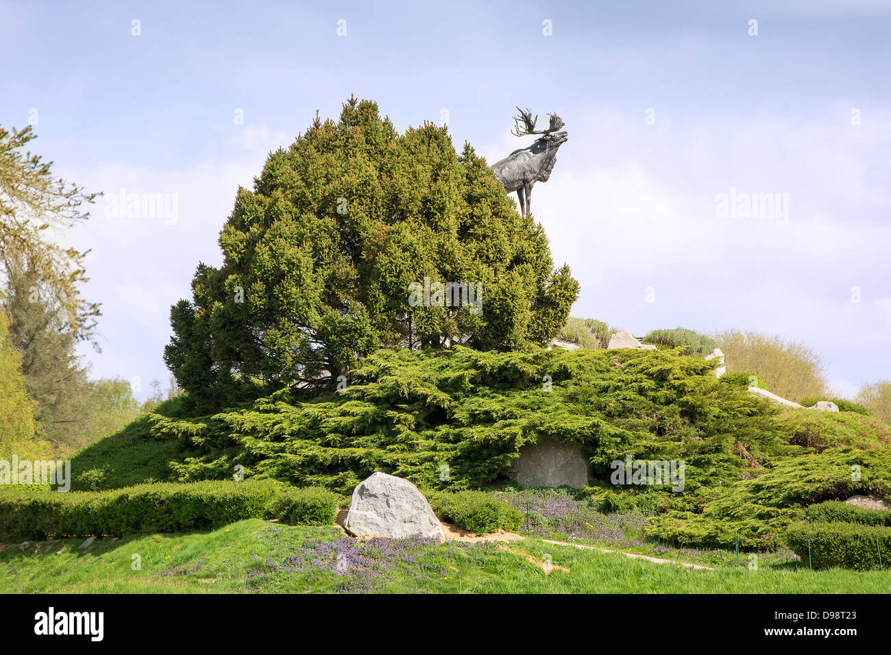 Regimental emblem of the Royal Newfoundland Regiment at the war ...