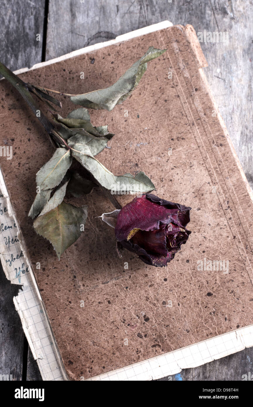 dried rose on old notebook,love letter Stock Photo - Alamy