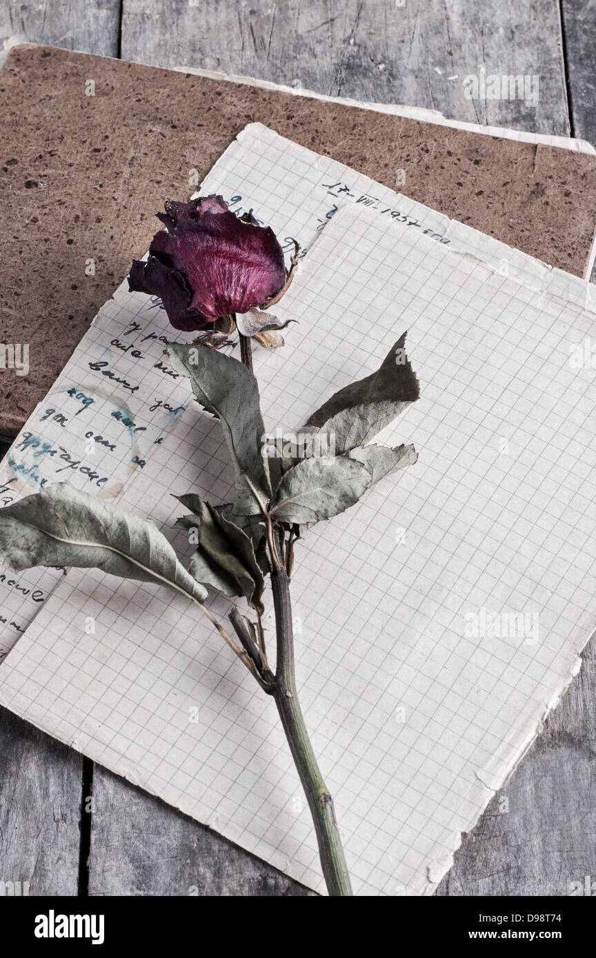 dried rose on old notebook,love letter Stock Photo - Alamy