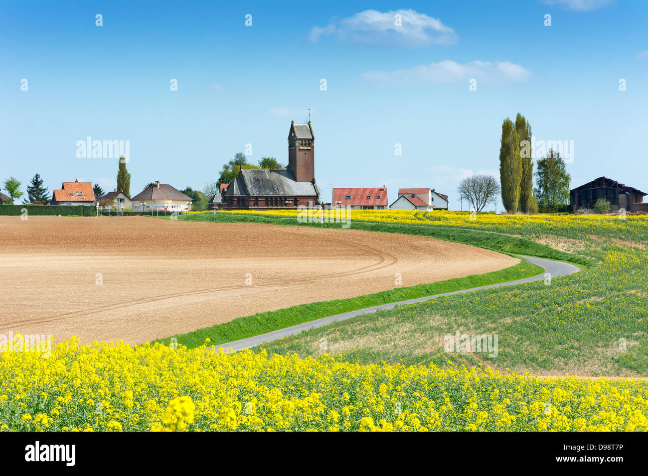 Lighter patch hi-res stock photography and images - Alamy