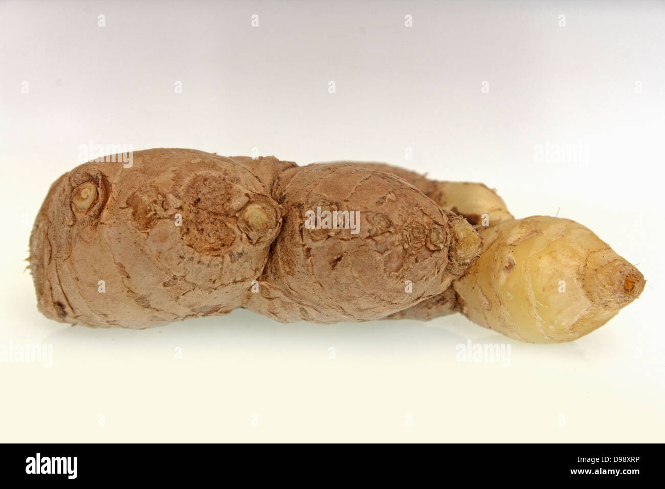 Ginger roots germinating, close-up Stock Photo - Alamy