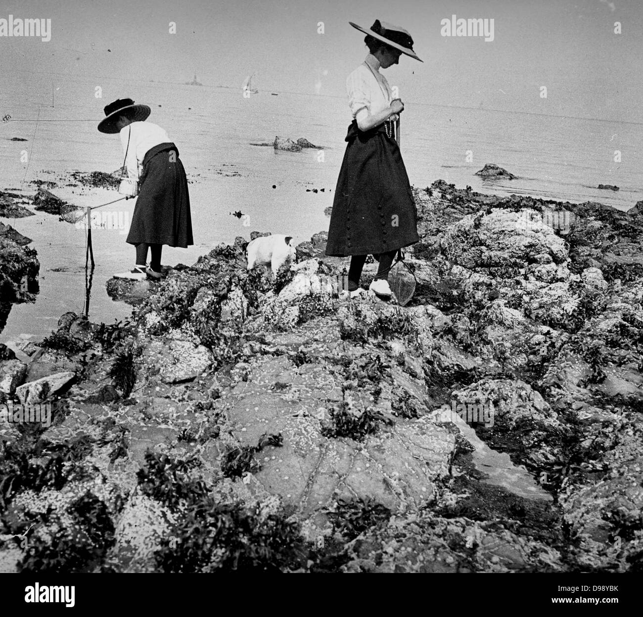 French coastal scene showing adults searching a beach for shellfish or ...