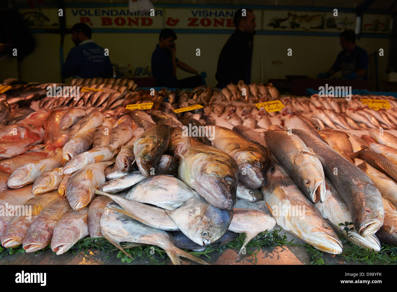 Hague den haag dutch food hi-res stock photography and images - Alamy