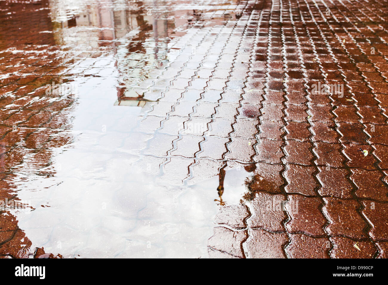 rain puddle on paving stone urban square Stock Photo - Alamy